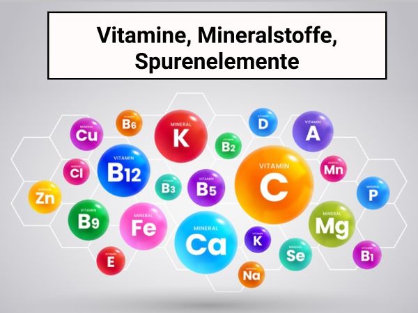 Ernährung | Fit-Gesund-Aktiv